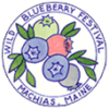 Pontoon Game Table | Machias Wild Blueberry Festival : Maine